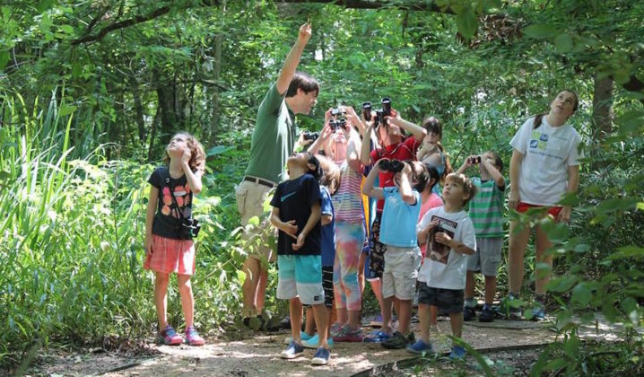 Nature Storytime with Nature Discovery Center | 365 Houston