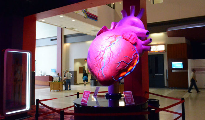 Visitor's Guide: The Health Museum | 365 Houston