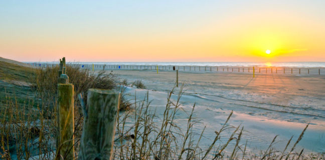 Destinations, Landmarks & Places to Visit Around Houston | 365 Houston