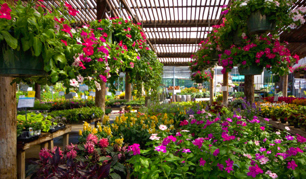 Top 12 Plant Nurseries & Garden Centers in Greater Houston | 365 Houston
