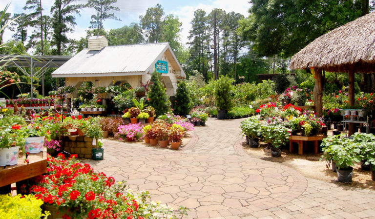 Top 12 Plant & Garden Centers in Greater Houston | 365 Houston
