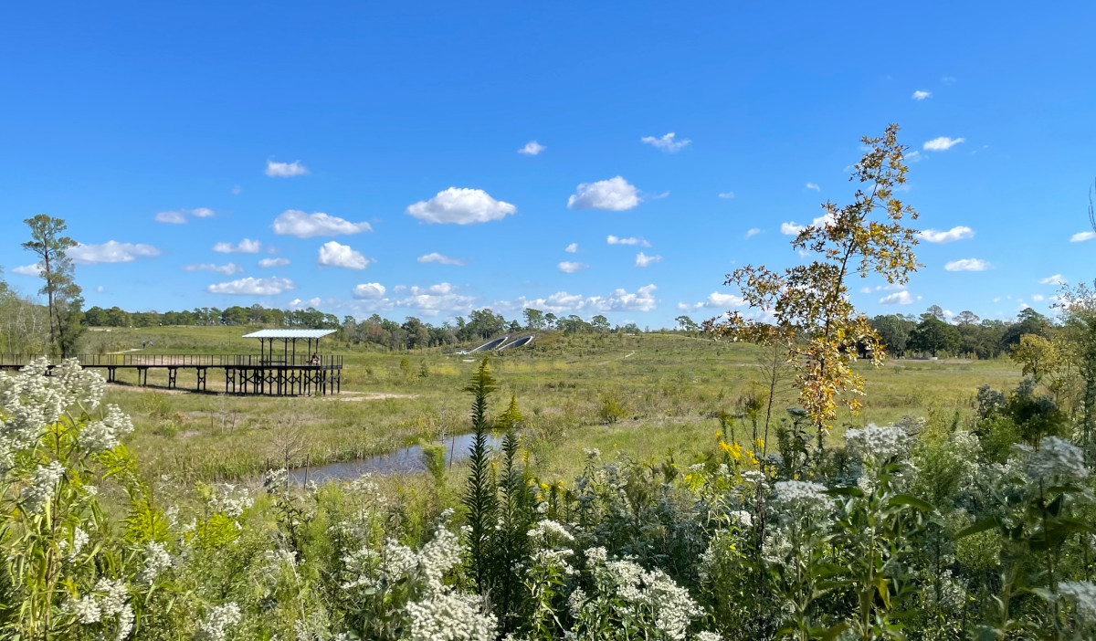 5 Must Do Things near Memorial Park | 365 Houston