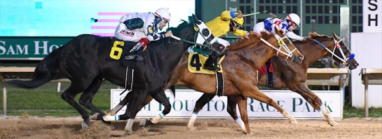 American Quarter Horse Races at Sam Houston Race Park | 365 Things to ...