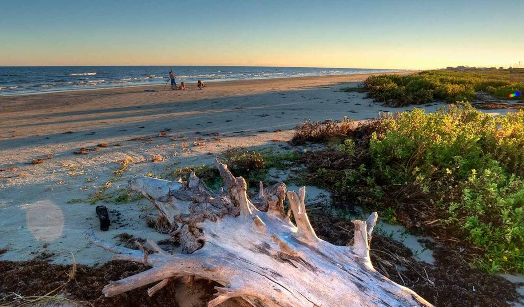 5 Must Do Things in Galveston | 365 Houston