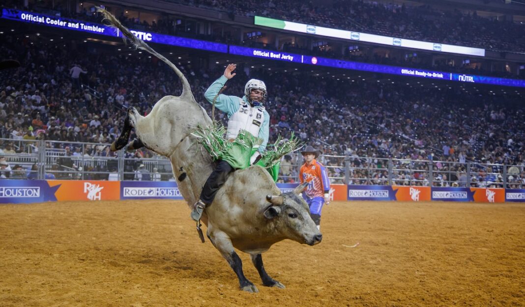 Houston Livestock Show & Rodeo 2025 Concert Lineup | 365 Houston