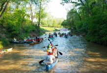 Waugh Bridge Bat Colony | 365 Houston