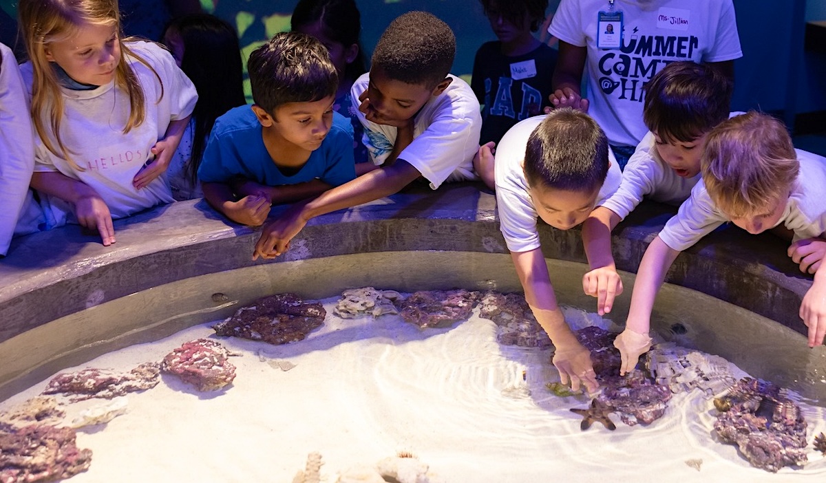 Top Summer Camps 2026 for Kids in Houston | 365 Houston
