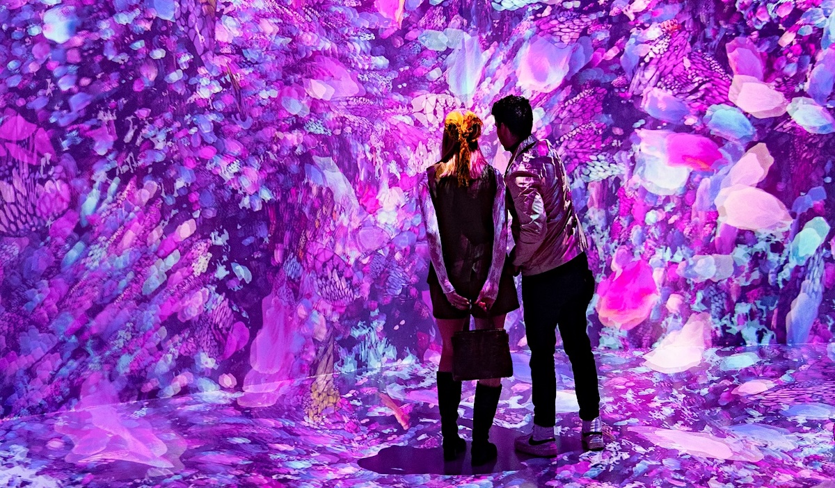 Blooming Wonders at Artechouse in The Heights | 365 Houston