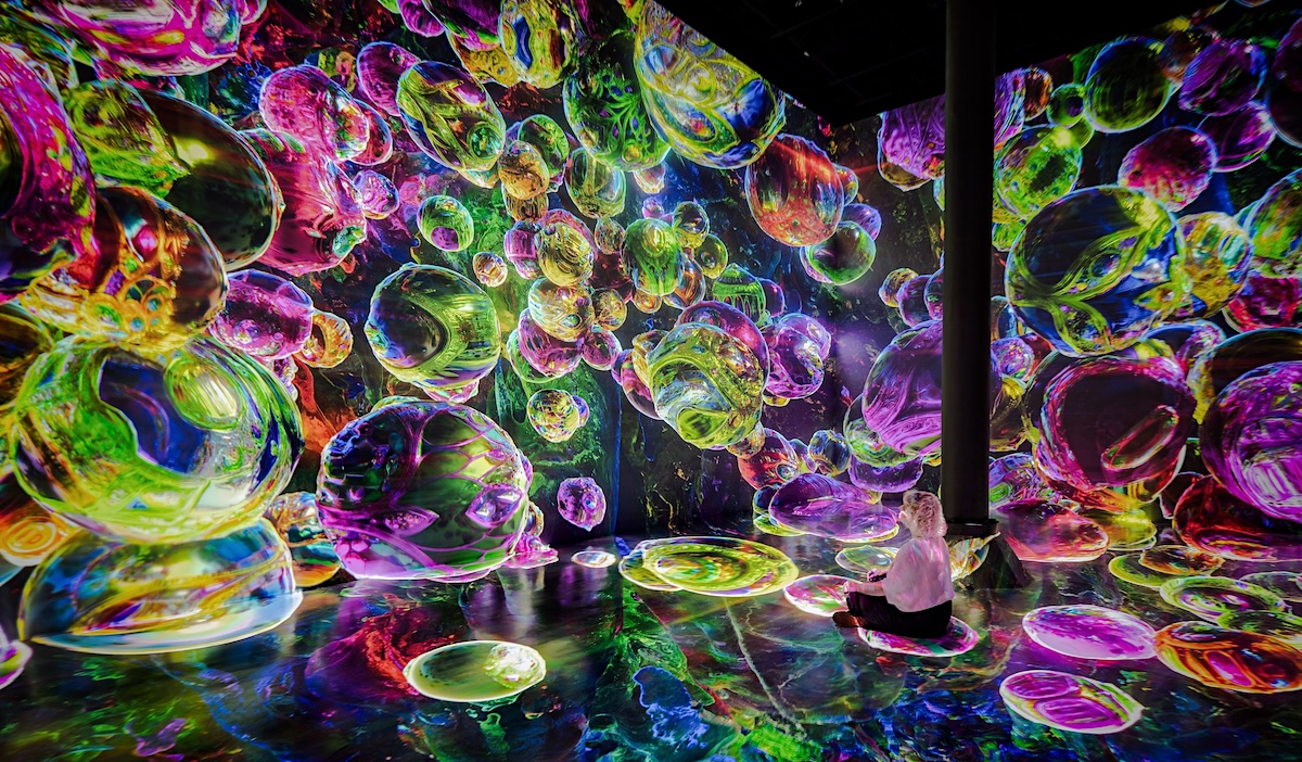 Blooming Wonders at Artechouse in The Heights | 365 Houston