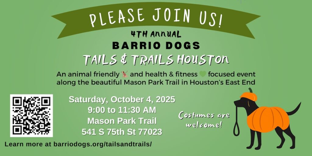 Top Things to Do in Galveston in December 2024 | 365 Houston