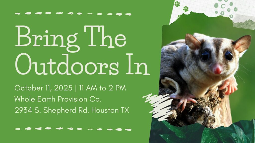 Now in Houston: Base Power with Whole-Home Backup Battery | 365 Houston