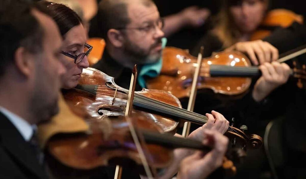 Top Festivals & Events in Houston: January 2026 | 365 Houston